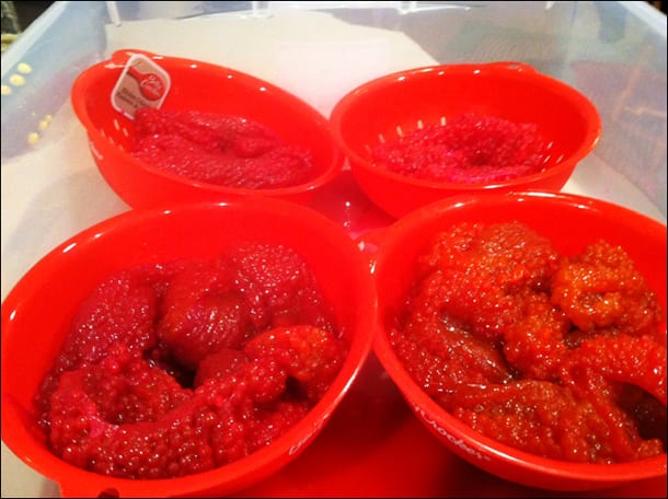 Bait Recharge: Fire Brine boosts old eggs - Pautzke Bait Co