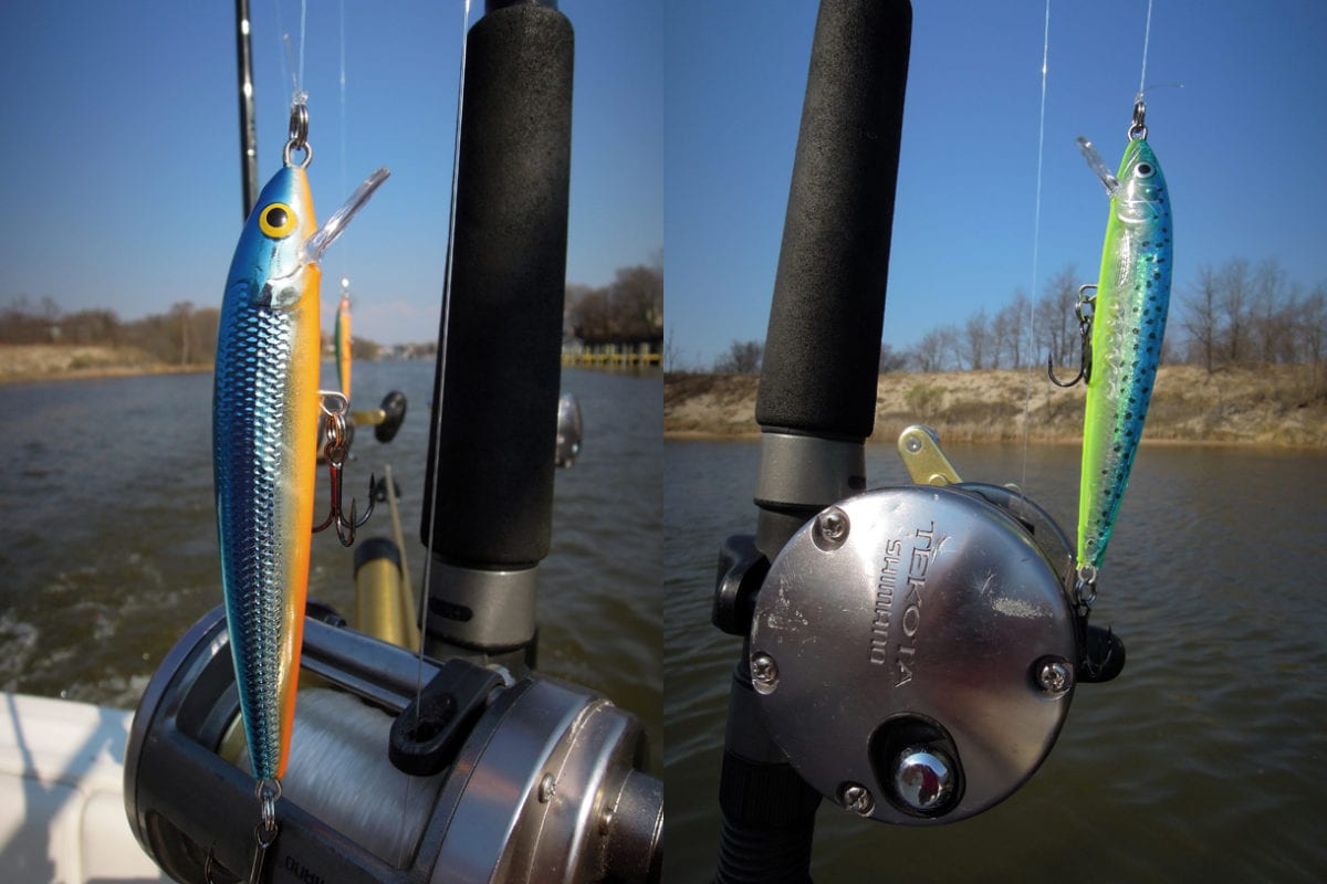 Lake Michigan Brown Trout Lures at Brodie Eldershaw blog