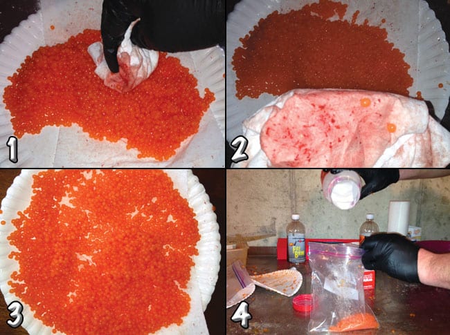 Making The Ultimate Spawn Sack: Learning To Cure Fresh Spawn - Pautzke ...