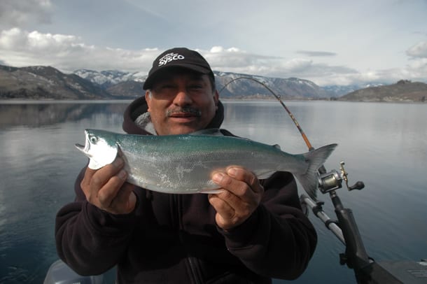 Lake Chelan Kicking Out Jumbo Kokanee - Pautzke Bait Co