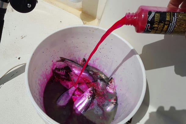 A Guide's Secret to the Perfect Halibut Bait - Pautzke Bait Co