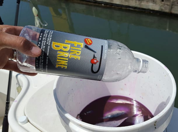 A Guide's Secret to the Perfect Halibut Bait - Pautzke Bait Co