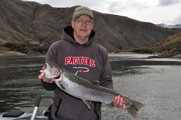 Columbia River's Hatchery Steelhead On The Chew - Pautzke Bait Co