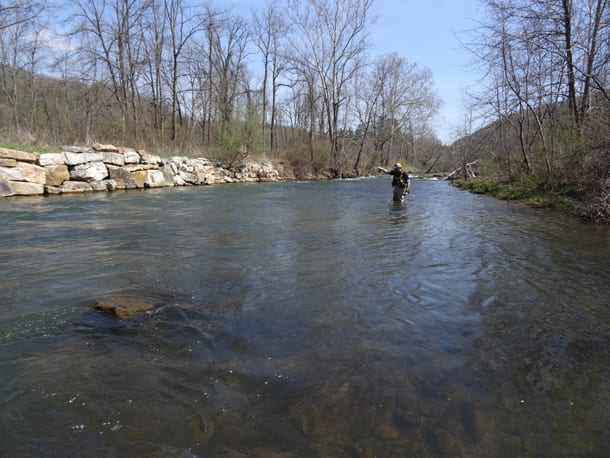 Virginia's Jackson River Heavily Planted - Pautzke Bait Co