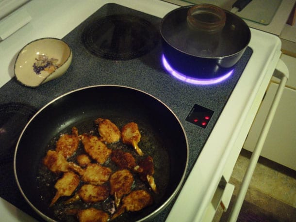 Krill Paste Diversion - Making Krill Paste for your Hardware and Soft ...