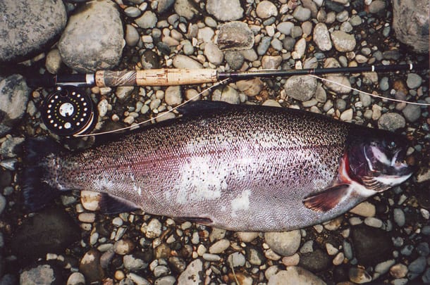 World Class Triploid Rainbow Trout Fishing in North Central Washington ...