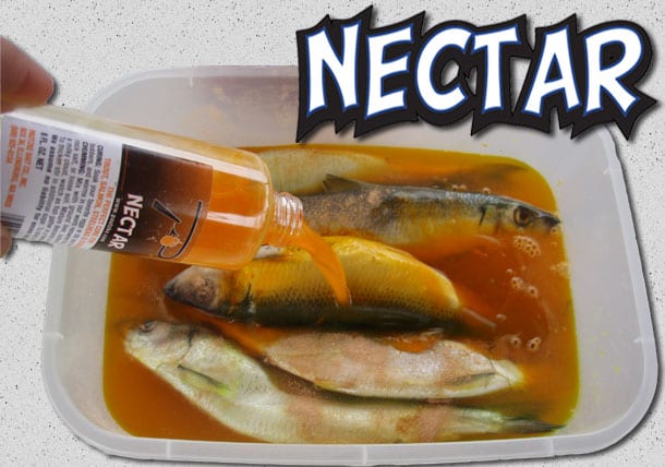 The Perfect Halibut Brine - Pautzke Bait Co