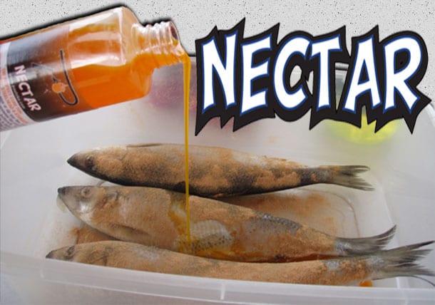 The Perfect Halibut Brine - Pautzke Bait Co