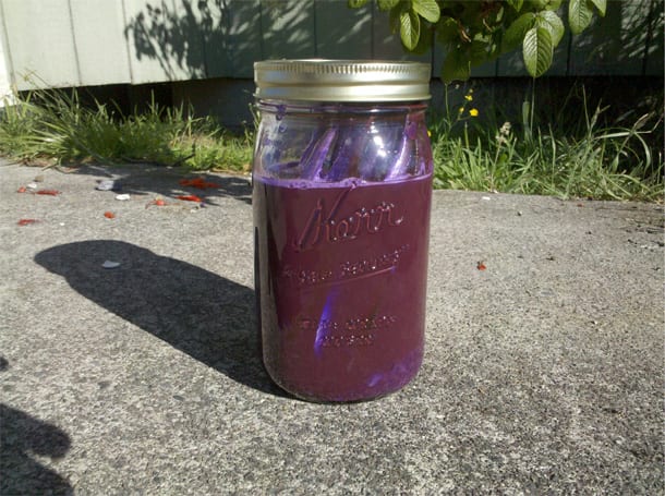 Pautzke Announces Purple Nectar - Pautzke Bait Co
