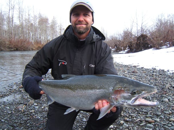 Washington's Chehalis River Steelhead Get A Boost - Pautzke Bait Co