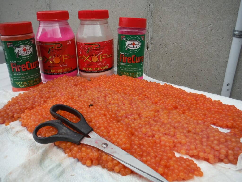 Learn To Cure Skein For Northern Michigan Salmon - Pautzke Bait Co