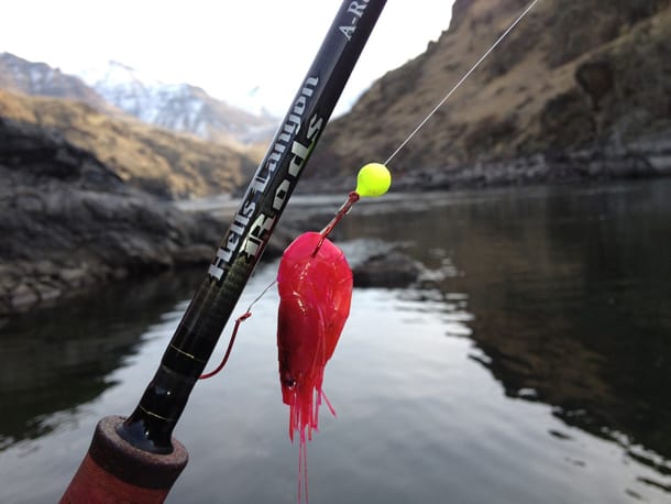 Size Matters: Choosing The Right Bait For Steelhead Success - Pautzke ...