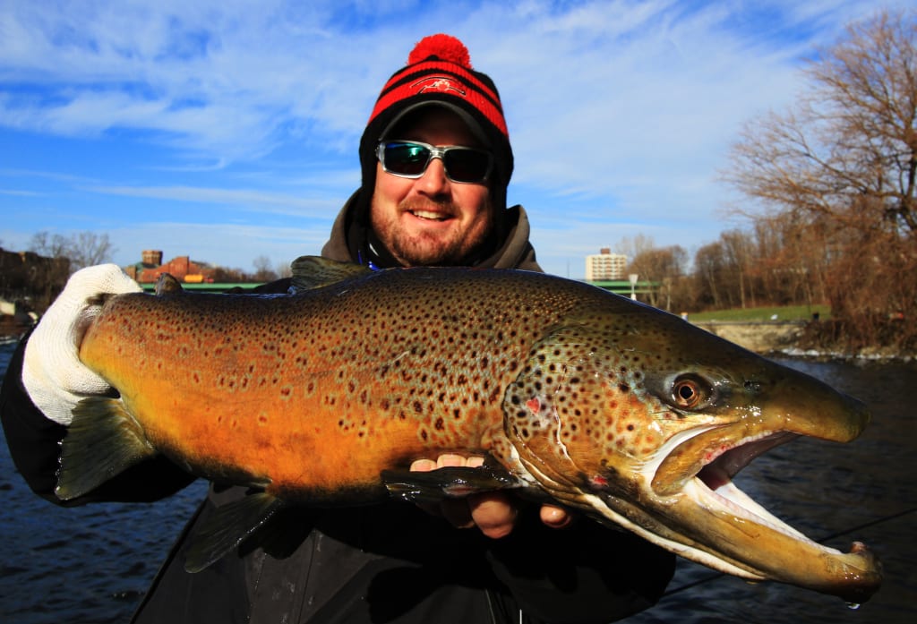 Learn to Catch Fish With Live Fire Dye Minnows - Pautzke Bait Co