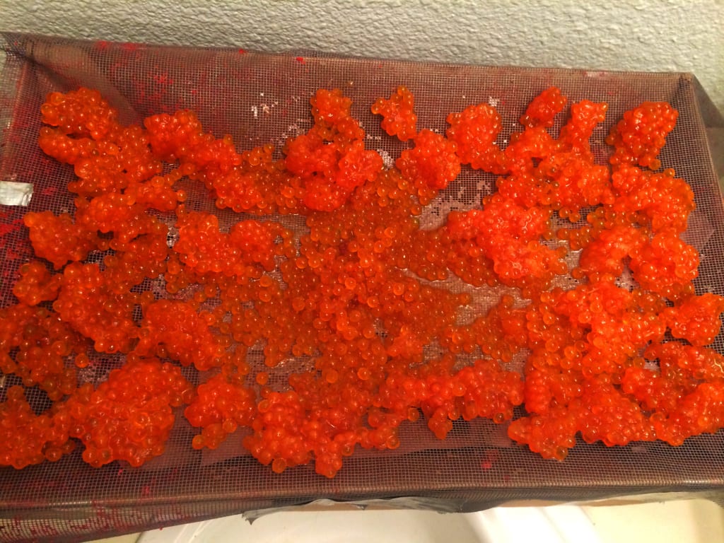 Learn To Mix Orange & Natural For the Perfect Coastal Egg Cure ...