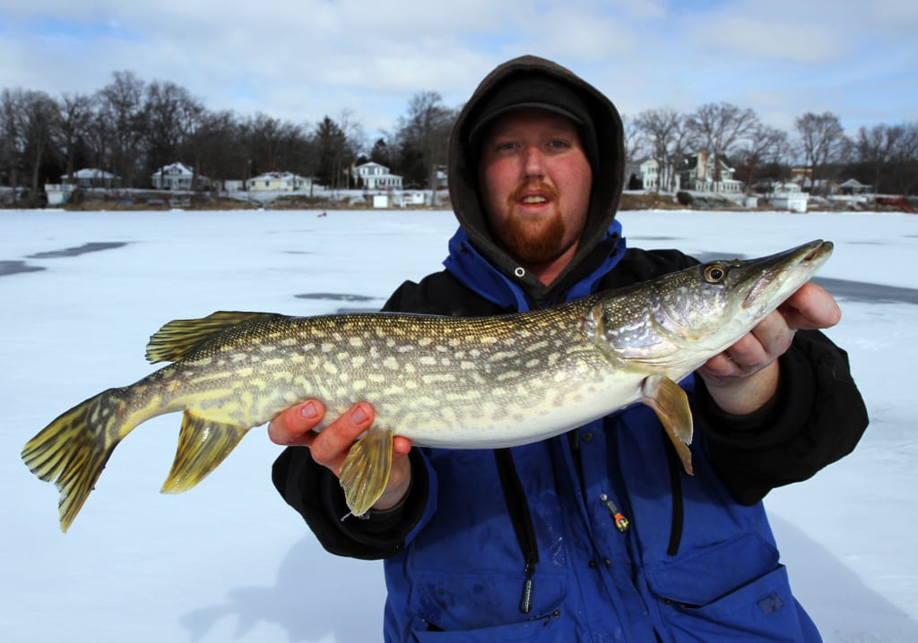 Wisconsin Pike Lethargic In Midst of Arctic Blast - Pautzke Bait Co