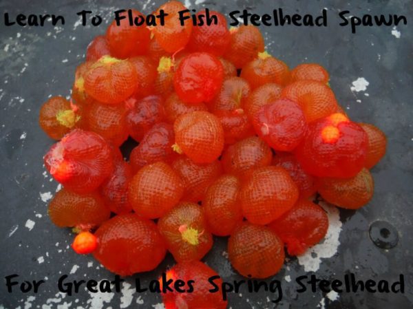 Learn To Float Fish Steelhead Spawn For Great Lakes Spring Steelhead ...