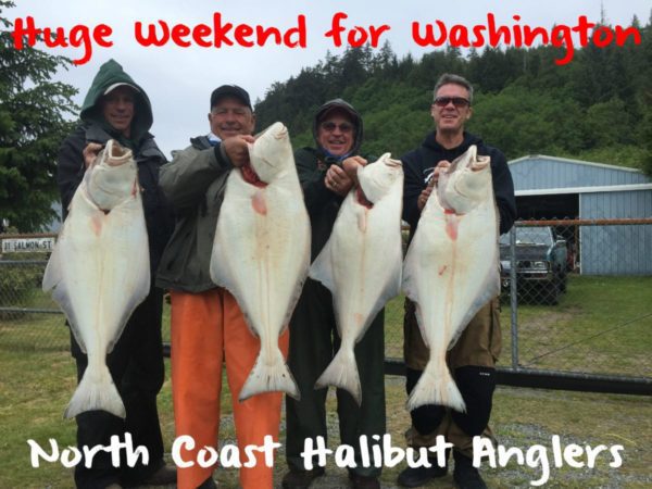 Huge Weekend For Washington North Coast Halibut Anglers - Pautzke Bait Co
