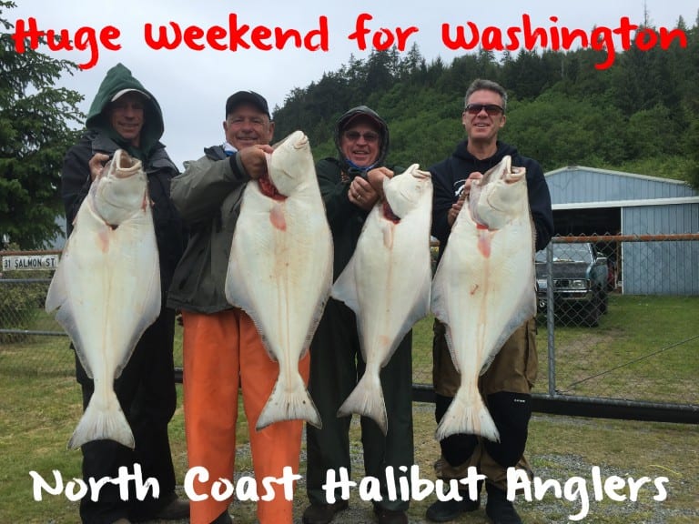 Huge Weekend For Washington North Coast Halibut Anglers - Pautzke Bait Co