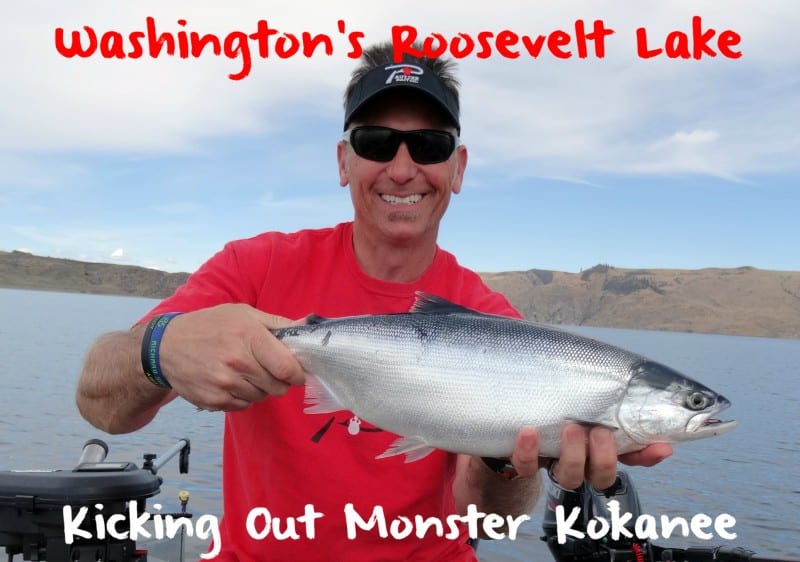 Washington's Roosevelt Lake Kicking Out Monster Kokanee - Pautzke Bait Co