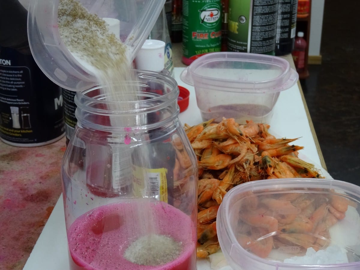 Learn The New No. 1 Coon Shrimp Recipe – Pautzke Bait Co