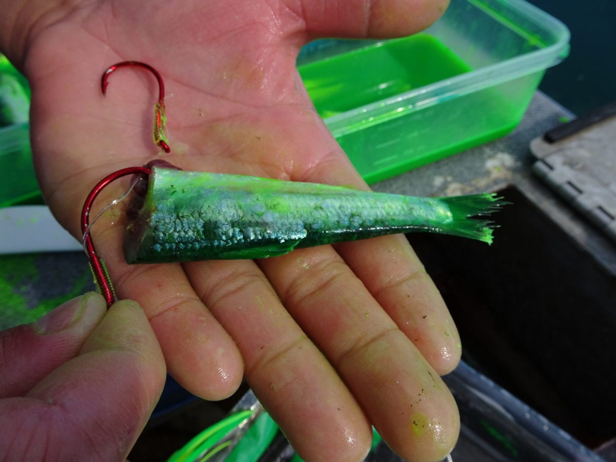 Learn The Perfect Brine for Saltwater Salmon - Pautzke Bait Co