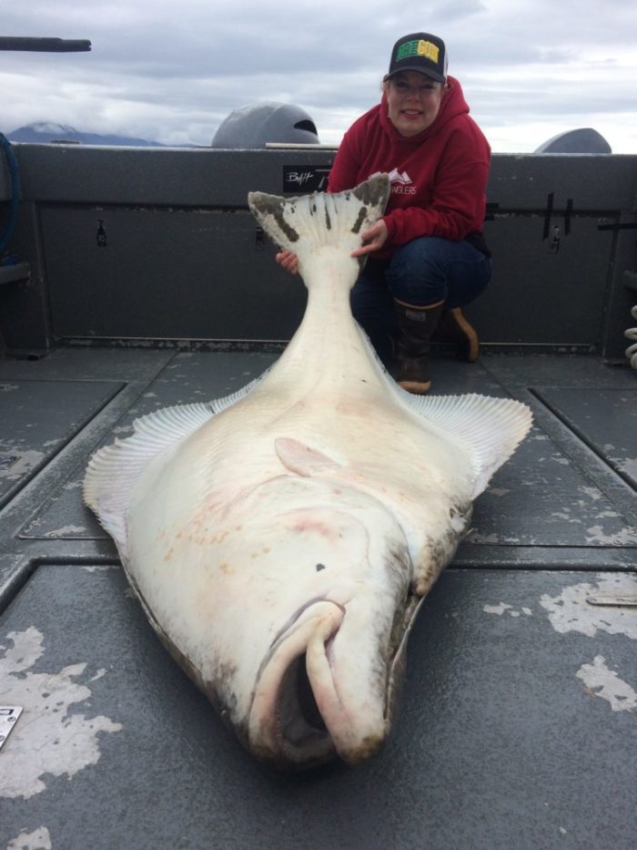 The Guide’s Secret Bait to Catch Big Halibut – Pautzke Bait Co