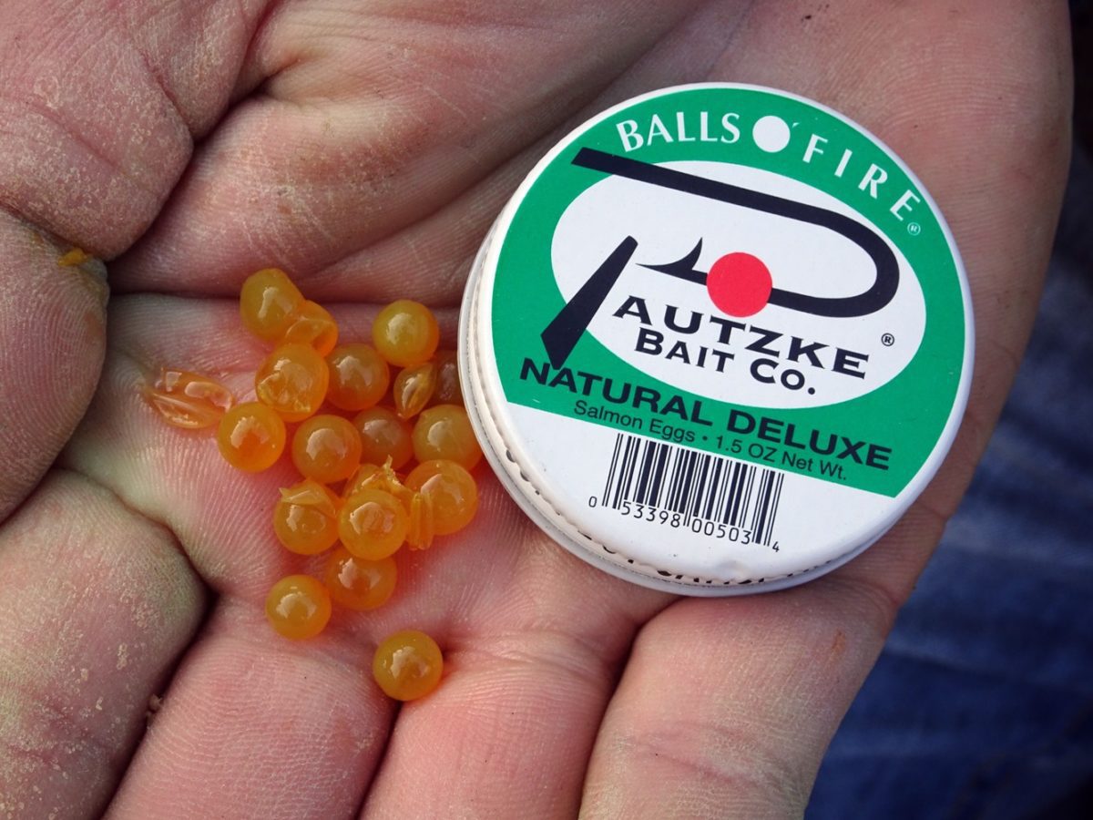 Live Fire Dye Minnows & Worms Catching Big Trout - Pautzke Bait Co