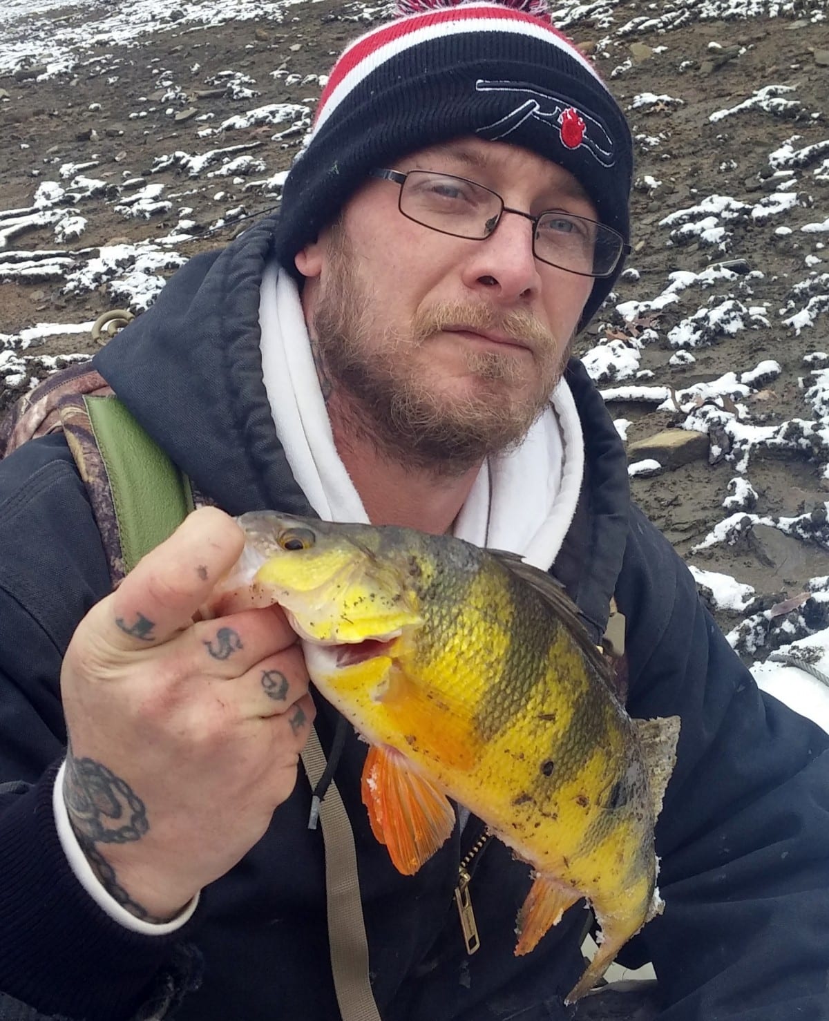 Pennsylvania Perch Grabbing Live Minnows – Pautzke Bait Co