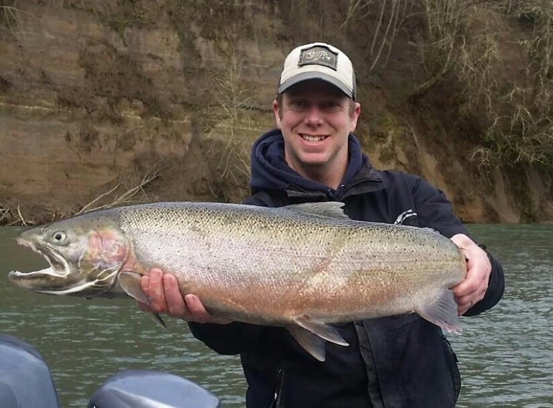 Cowlitz Steelhead off to Slow Start - But Big Ones Around - Pautzke Bait Co