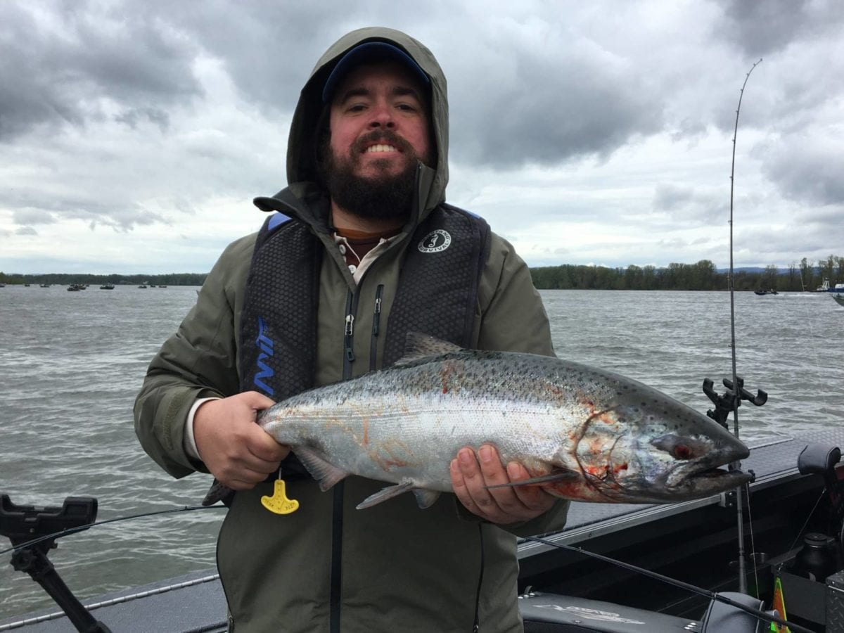 Adjust to Challenging Conditions for Willamette Spring Chinook Success ...