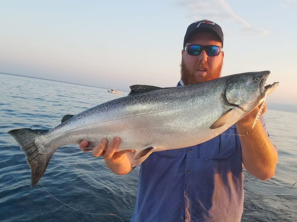 Wisconsin Salmon Fishing: Best in Many Years - Pautzke Bait Co