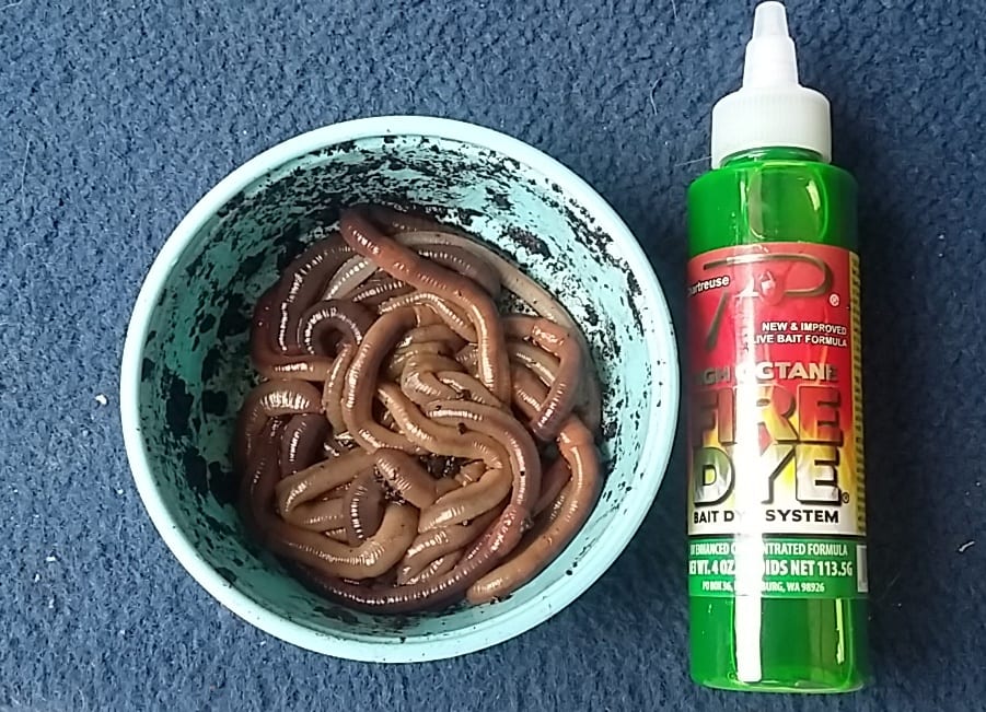 Learn to Use Fire Dye Worms To Catch Big Bluegill - Pautzke Bait Co