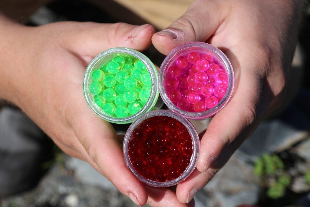 Alaska Trout Grabbing New Fire Balls - Pautzke Bait Co