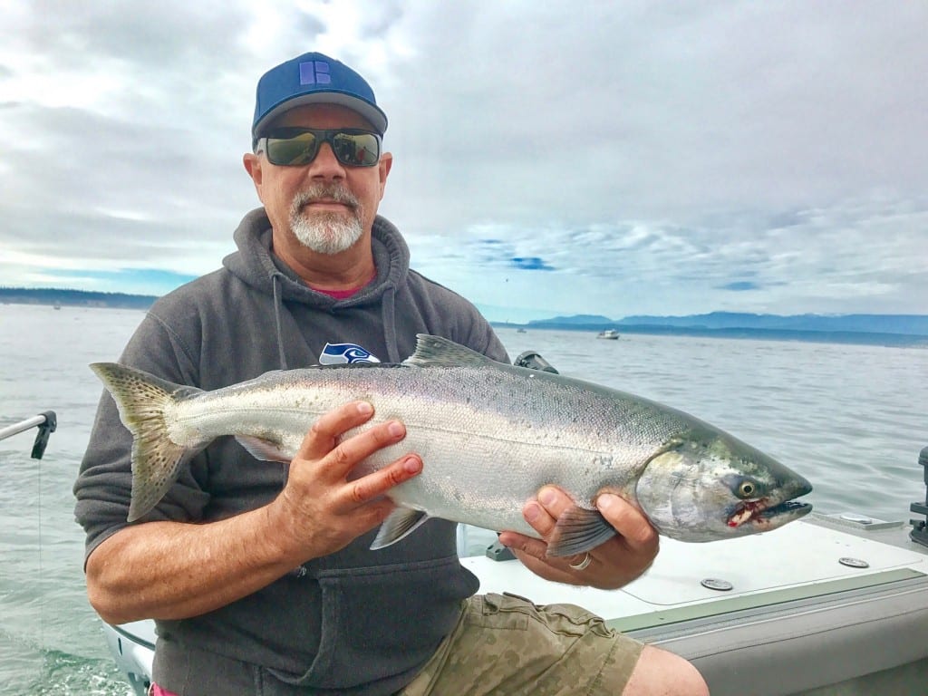 Puget Sound Salmon Much Better This Summer - Pautzke Bait Co