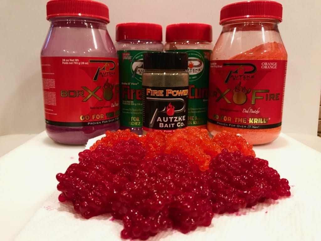 A Super Simple Egg Cure For Washington Salmon - Pautzke Bait Co