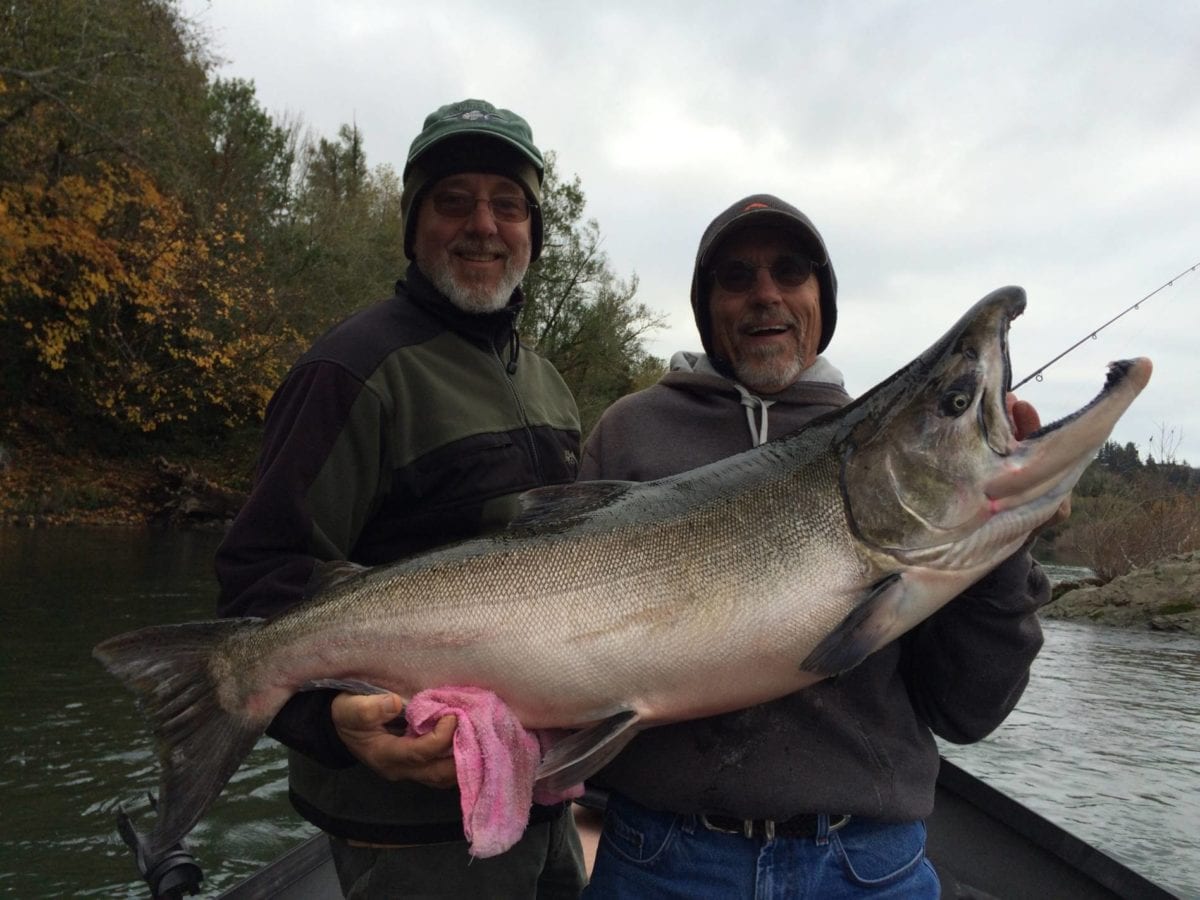 5 Tips for Perfect Fall Chinook Eggs - Pautzke Bait Co