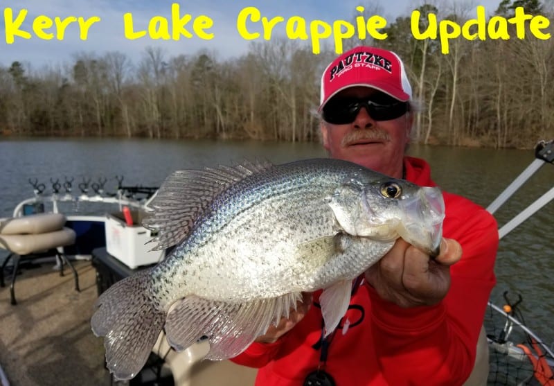 Kerr Lake Crappie Update - Pautzke Bait Co
