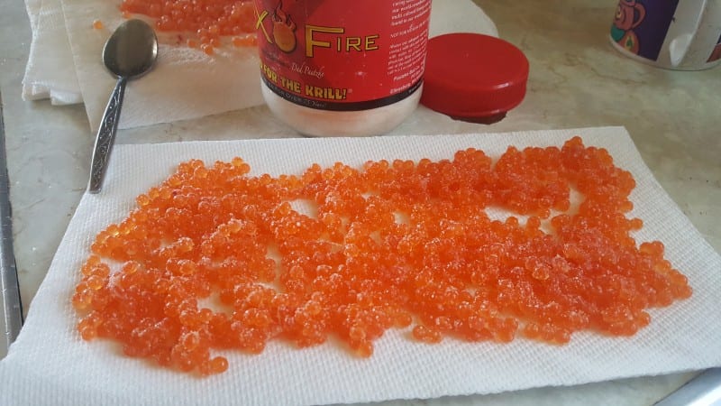 Pautzke BorX O' Fire - Pink 28 oz - Pautzke Bait Co