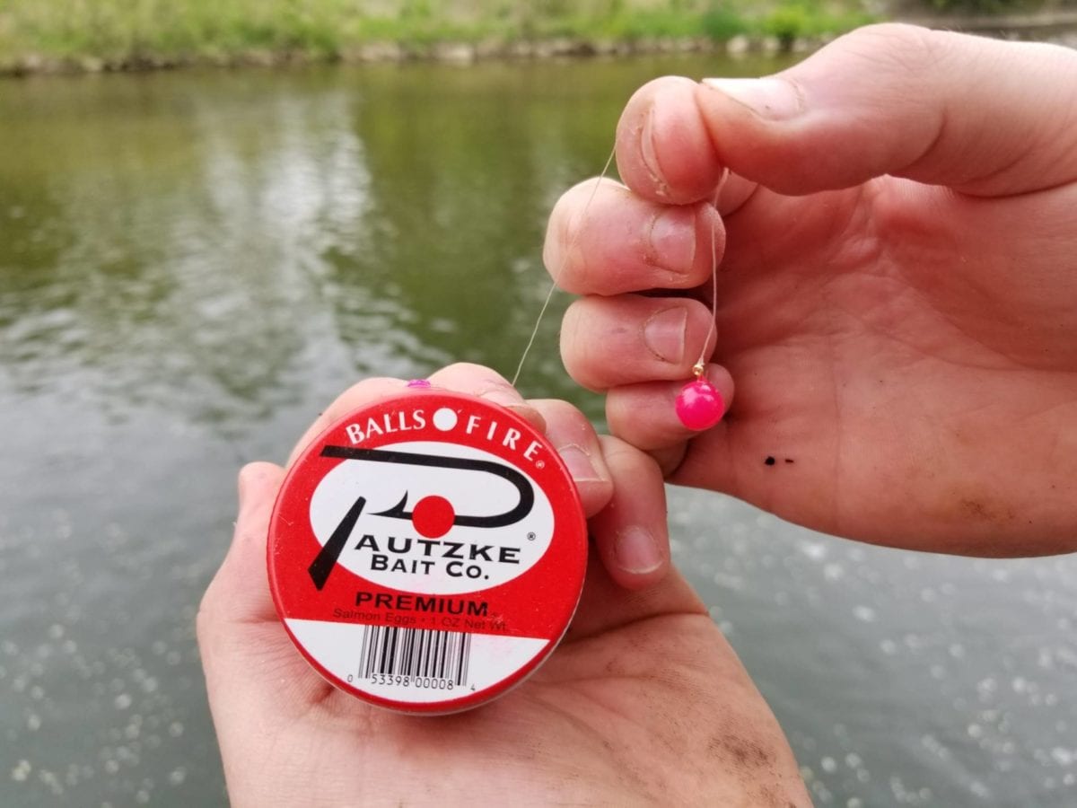 Eastern PA Creeks Loaded with Trout – Pautzke Bait Co