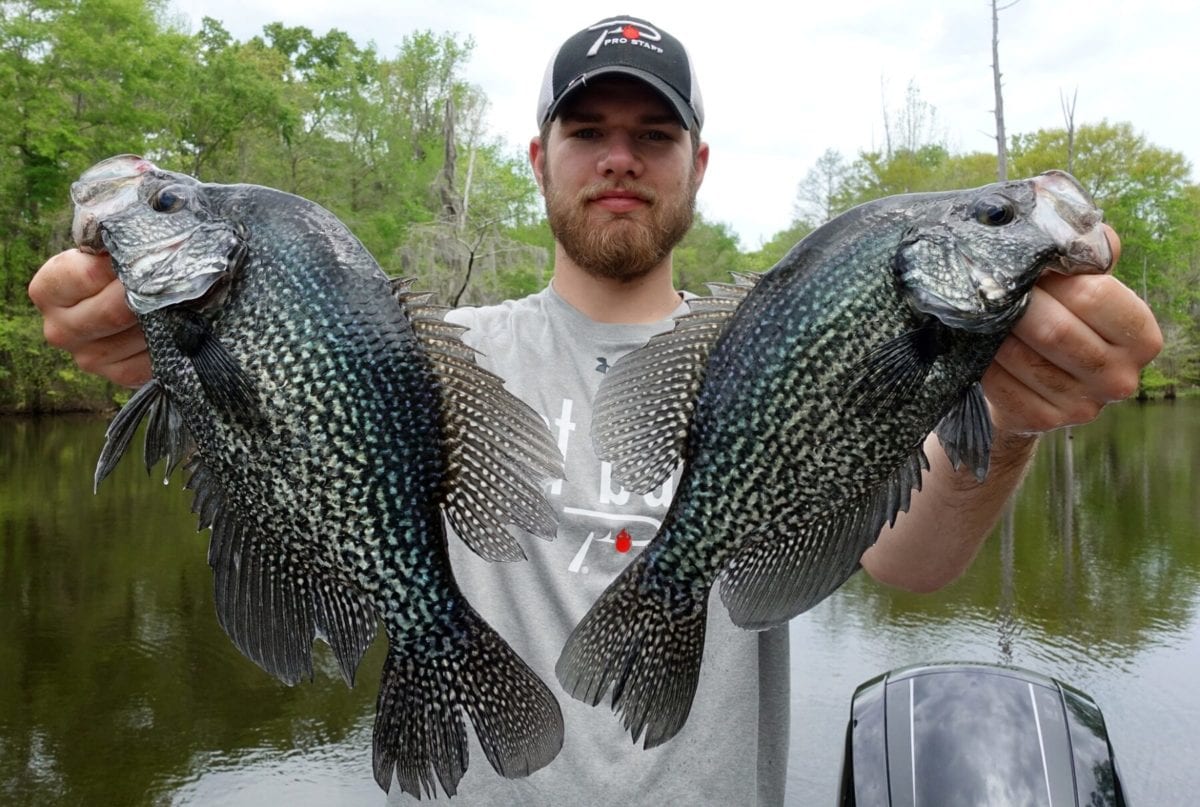 Alabama River Crappie Bite Taking Off - Pautzke Bait Co