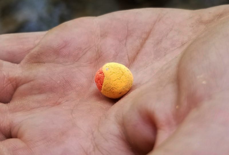 Use This Fire Bait Bait Trick: Catch More Trout - Pautzke Bait Co