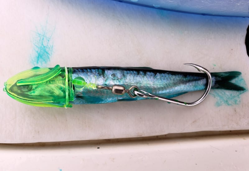 Learn To Make The Perfect Bait For West Coast Salmon - Pautzke Bait Co