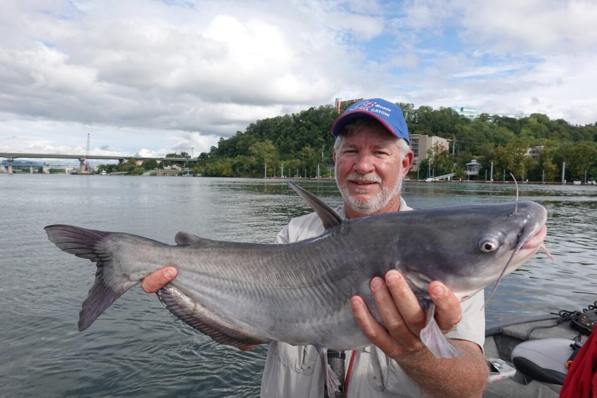 Raw Chicken + Catfish Nectar = Tennessee River Success - Pautzke Bait Co