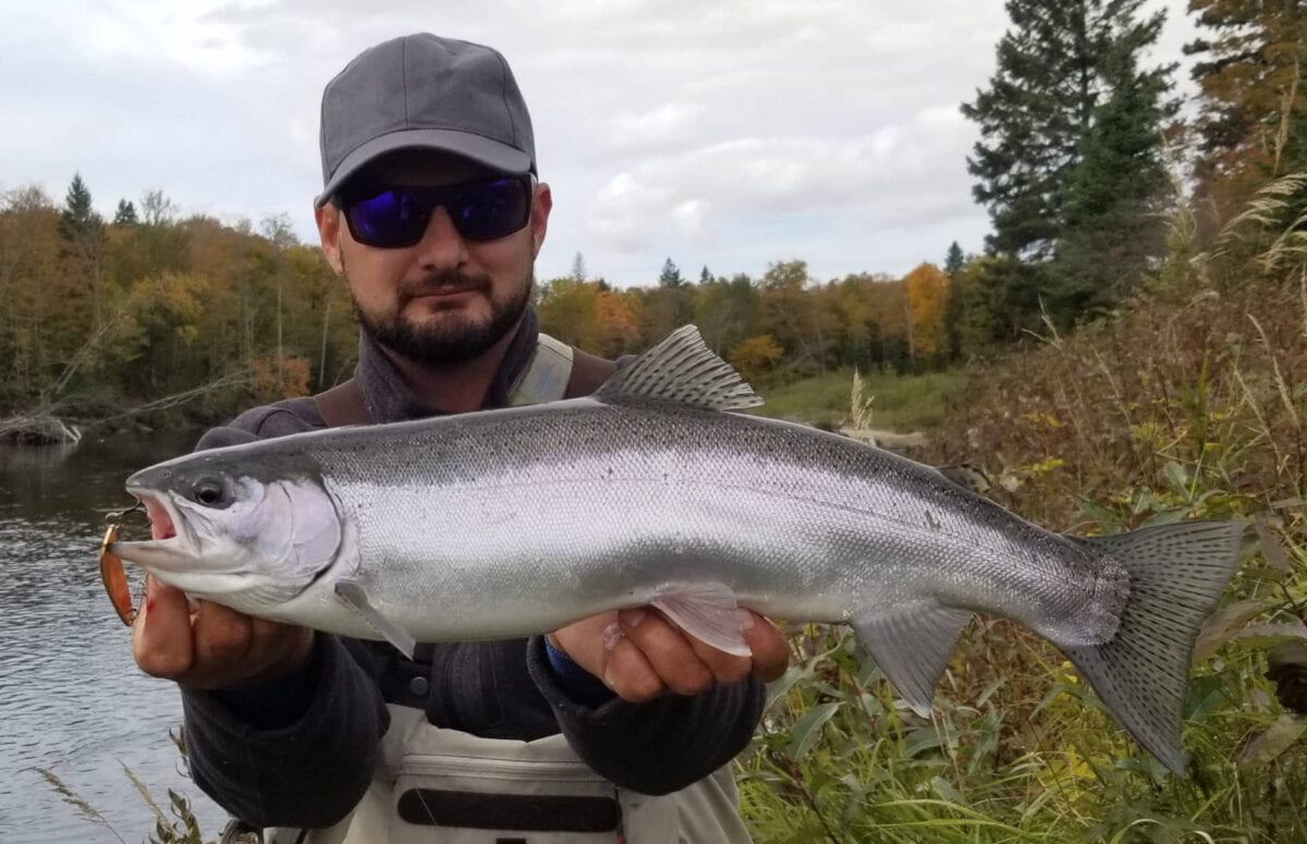 Ontario Steelhead Preview - Pautzke Bait Co