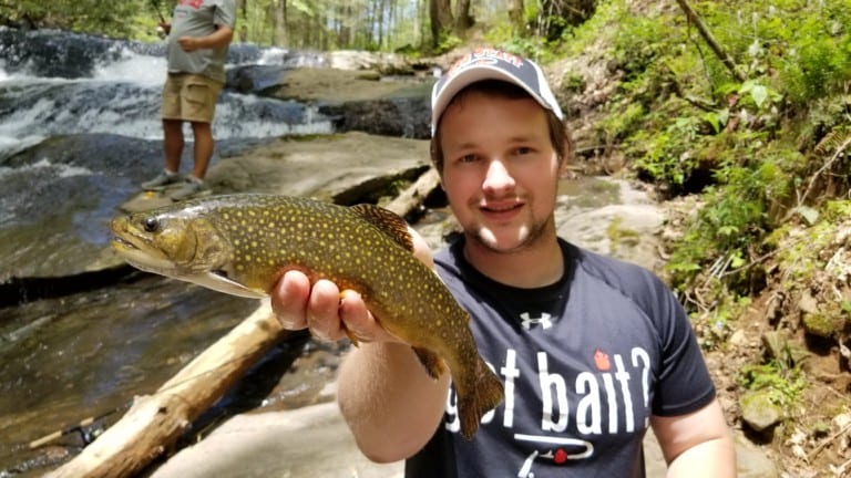 North Georgia Streams Stocked with Brook Trout - Pautzke Bait Co