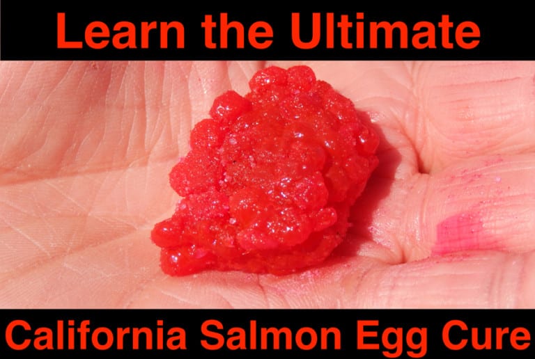 Learn the Ultimate California Salmon Egg Cure - Pautzke Bait Co