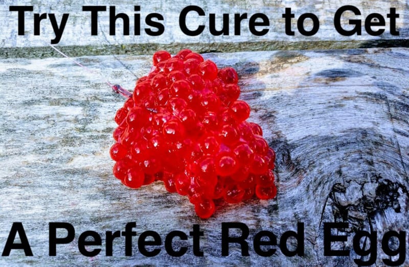 Learn To Cure Extra Sweet Salmon Eggs For Bobber & Back Bouncing ...