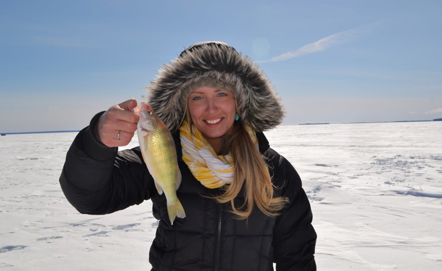 Tips to Catching Northern Ontario Perch - Pautzke Bait Co