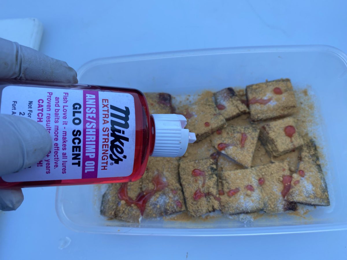 Try This Cut Bait Prep for Springer Success - Pautzke Bait Co