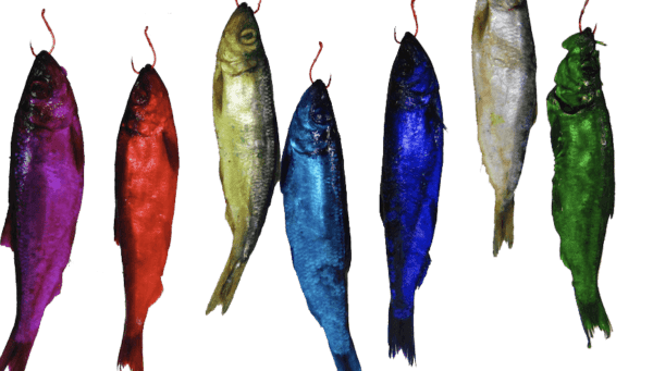 Product - Pautzke Fire Brine - Pautzke Bait Co